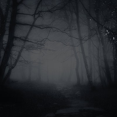 ANIMATED Phasmophobia Stream Overlay & Twitch Alerts Pack Scenes ...