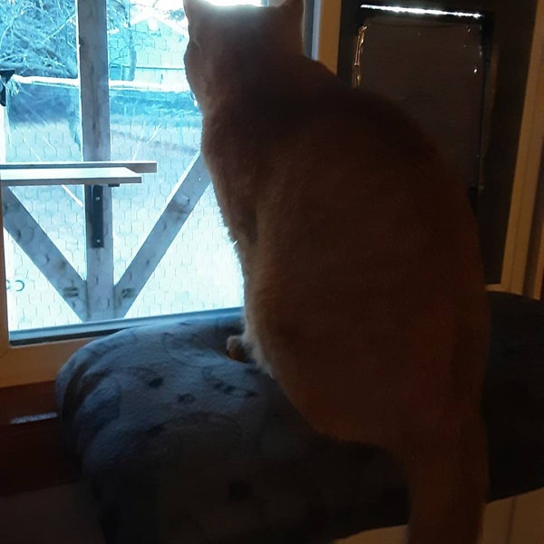Rectangle Cat Window Perch Cover, Cat Window Hammock Mat, Replacement ...