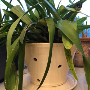 Police Officer Wedding Cake Topper with Customized Hat | Etsy