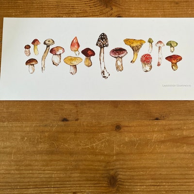 Line of Toadstools Illustration Print - Etsy