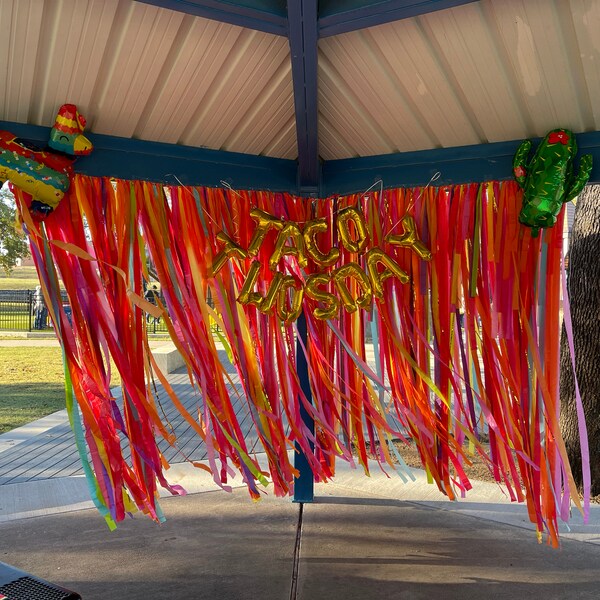 Fiesta Backdrop, Fiesta Decorations, Streamer Backdrop, Fringe Backdrop ...