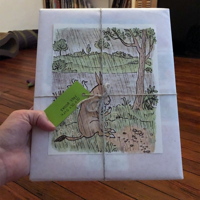 The Tale of Peter Rabbit by Beatrix Potter Illustrated by Rod Ruth - Etsy