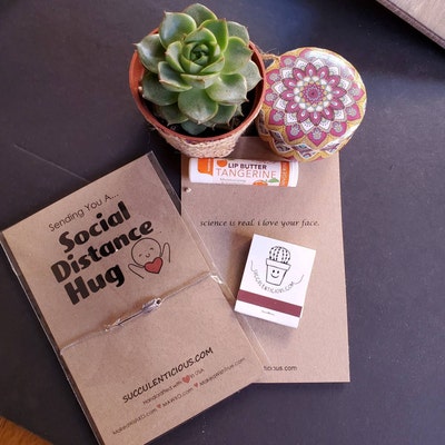Long Distance Friend Gift Box Thinking of You Succulent Gift - Etsy