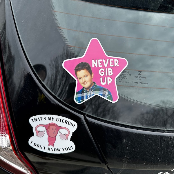 Never Gib up | Funny Cute Meme Star Gen Z Sticker or Magnet - Etsy