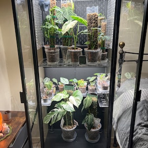 V1 Milsbo Tall Series Acrylic Shelves and Accessories - Etsy Canada