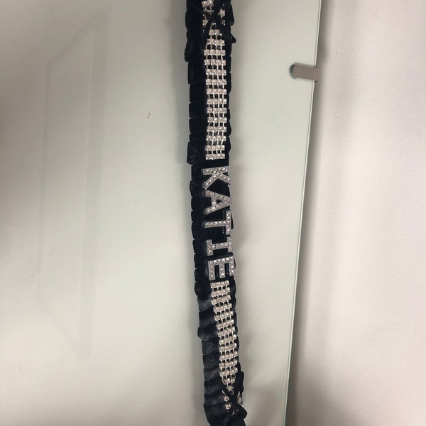 DIY Personalised Bling Browband Kit - Etsy