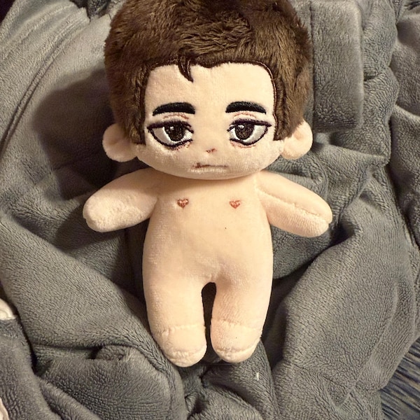 Customized 10/20//30/40cm Plush Doll Clothes Commissions,oc Clothes,handmade Doll Clothes,plush ...