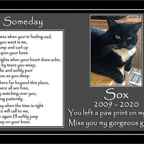 Personalised Pet Cat Memorial Bereavement Sympathy Gift Mounted Print ...