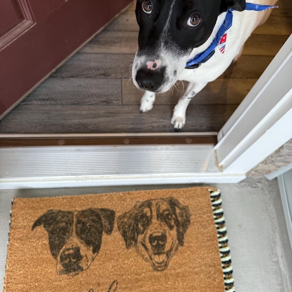 Dog Poop Loop | Handsfree Poop Carrier | Dog Poop Bag Holder| Clips ...