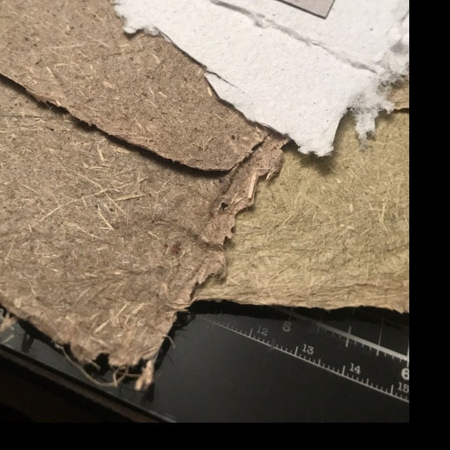 Grass Hay Paper, 8.5x11 inch, hay paper, handmade paper, raw plant ...
