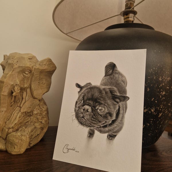 Custom Pet Portrait, Pet Memorial, Gifts, Cats, Cat Drawing, Charcoal ...