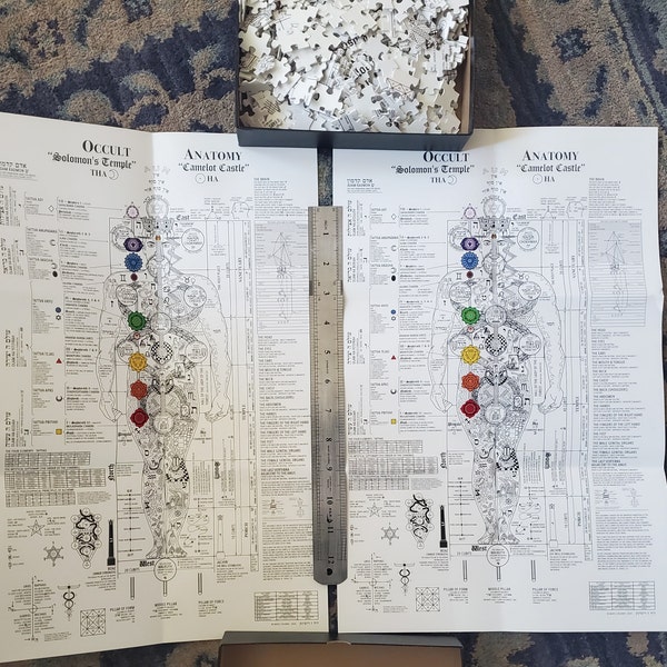 Occult Anatomy 2020 - Large Occult Poster (24x36), Occult Illustration ...