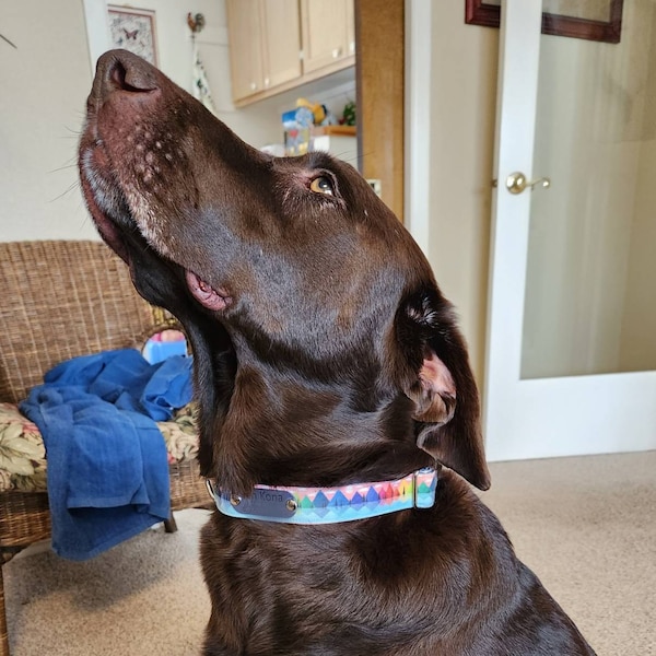 Premium Aluminum Rivet Tags (with Rivet Options) | Custom Personalized ...