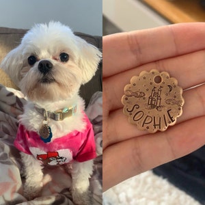 Mini Dog Tag Dog Tags for Dogs Oval Dog Tag Personalized | Etsy