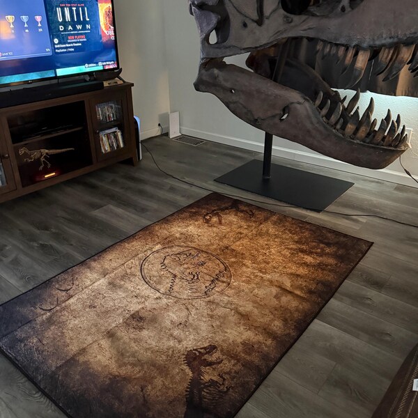 Henri Matisse Carpet, Modern Rugs, Modern Area Rug, Abstract Rug, Salon ...