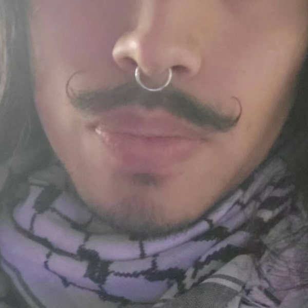 2g 4g 6g 8g Hinged Clicker Segment Ring Hoop Earring Ear Black Gold ...