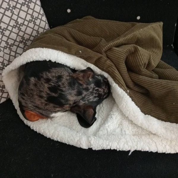 Corduroy Dog Snuggle Sack ,pet Snuggle Sack, Puppy Warmer,dachshund ...
