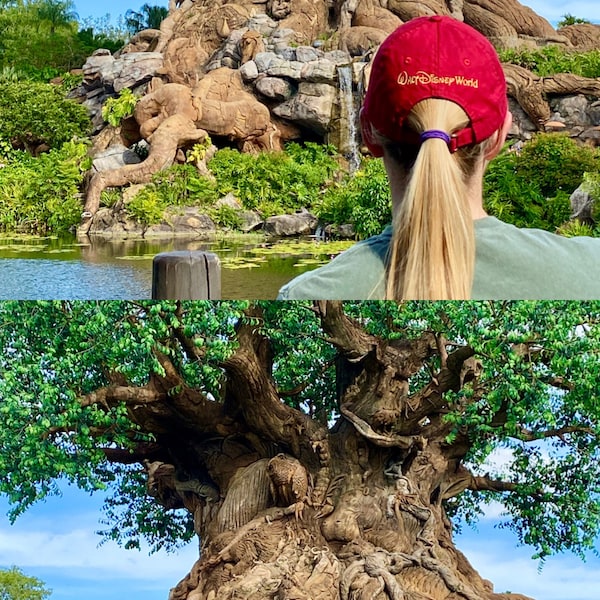 Lion King Simba Outline Embroidered Disney Baseball Dad Hat- 13 Hat ...