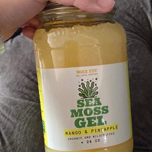 Organic Pure Sea Moss Gel Wildcrafted Irish Seaweed Moss - Etsy