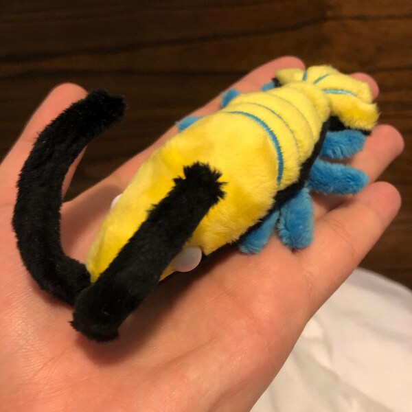 Adorable Colorful Shrimp Ocean Bug Insect Decapoda Crustacean Minky ...