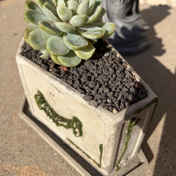 Coffin Planter Pot With Drainage, Indoor or Outdoor - Etsy