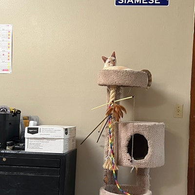 Siamese, Siamese Sign, Siamese Owner, Siamese Gift, Siamese Cat Decor ...