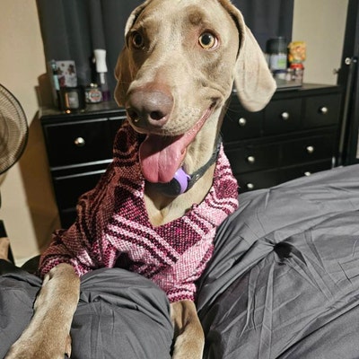 Hand Painted Indian Chief Wall Decor - Etsy