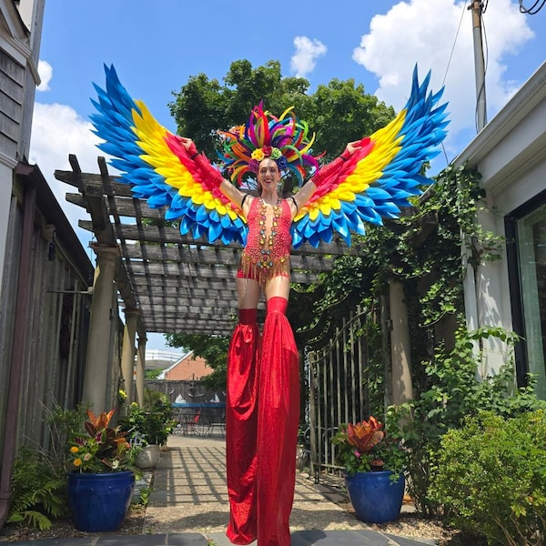 Parrot Wings Costume Macaw Costume Movable Wings For Dance Bird Wings Bird Costume Photo