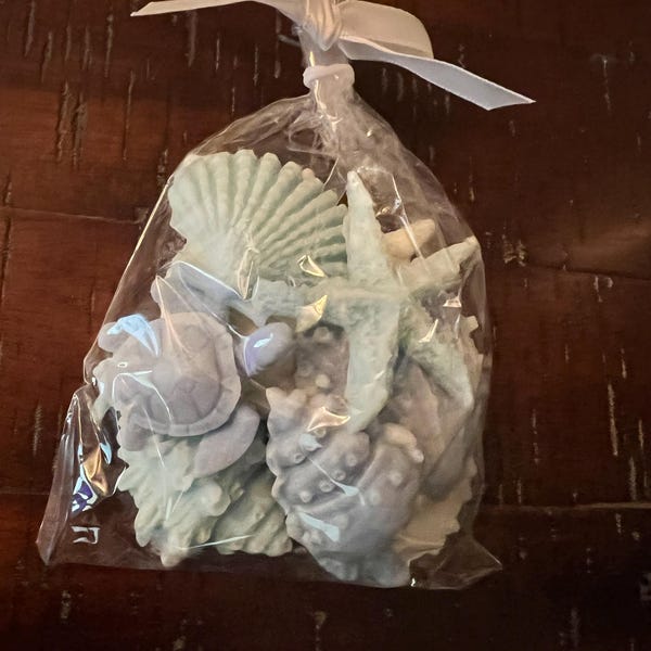 Mini Seashell Soap Favor, Coastal Wedding Favors, Beach Guest Gifts - Etsy