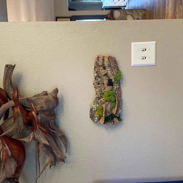 Floating Forest Art Gift, Moss on Cork Bark Natural Wall Decor ...