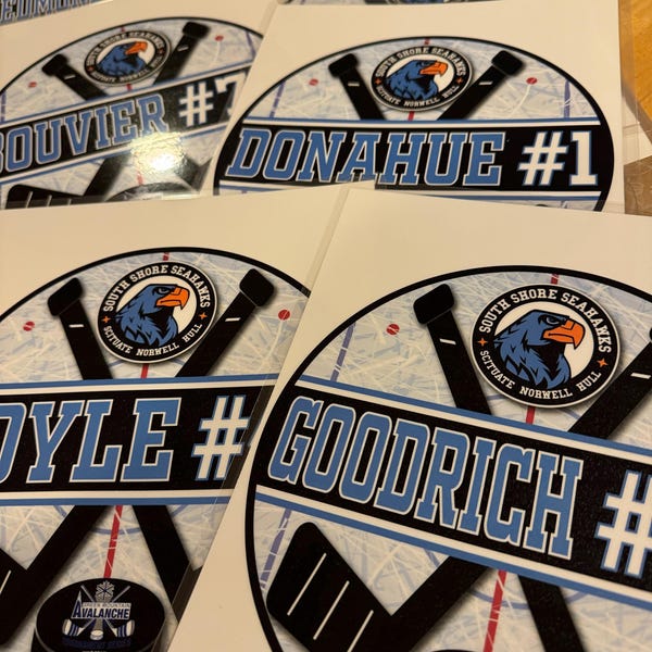 PRINTED Softball Door Sign or Locker Tag | Your Logo | Your Colors ...