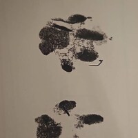 No-touch Inkless Baby Hand and Footprint Kit Painless Perfect Prints ...