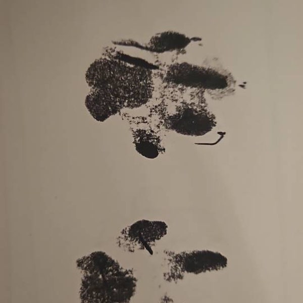 No-touch Inkless Baby Hand and Footprint Kit | Painless Perfect Prints ...