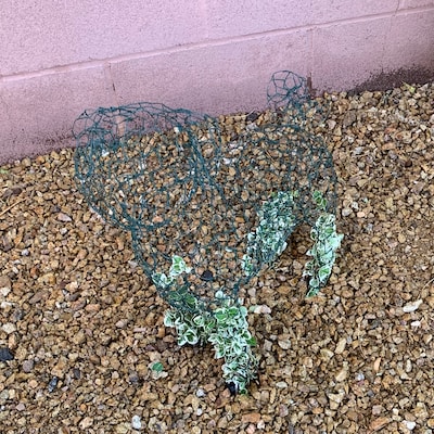 T Rex Topiary Frame - Etsy