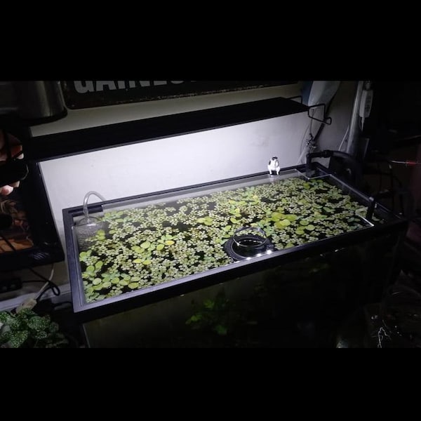 Acrylic Aquarium Lid: 2.5/5.5/10 Gallon | Clear Terrarium Cover ...