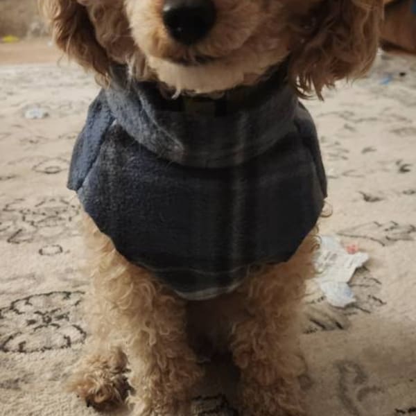 Dog Fleece Polo PDF Sewing Pattern Sizes XXS to 3XL (8 Sizes) Instant ...