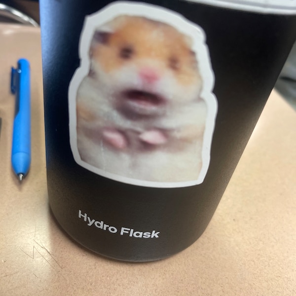 Surprised Shock Hamster Meme Funny Car Bumper Sticker Interior or ...