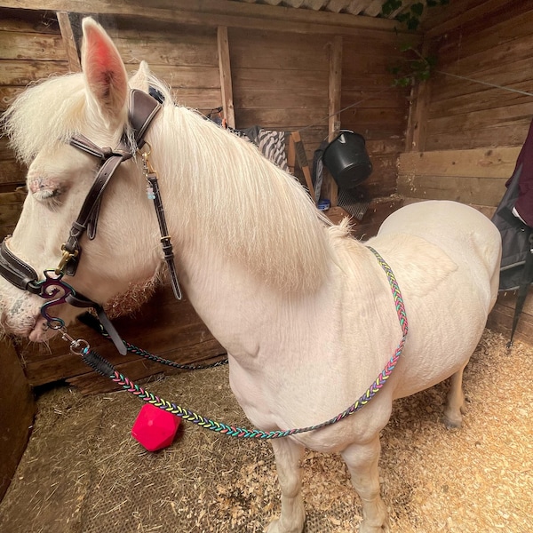 Bitless Rope Bridle. Different Colours and Sizes Available - Etsy UK