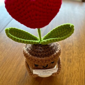 Handmade Crochet Emotional Support Plants Caring Gifts, Custom Crochet ...