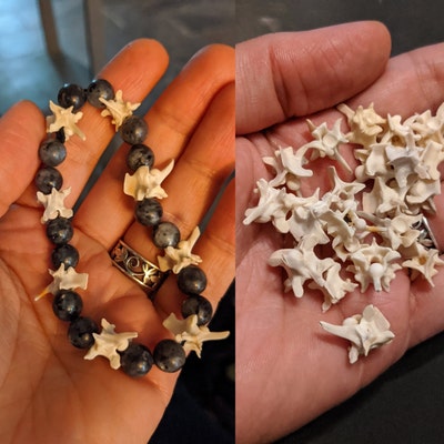 20 Real Jumbo Rattlesnake Vertebrae Bone Gothic Voodoo Witchcraft Craft ...
