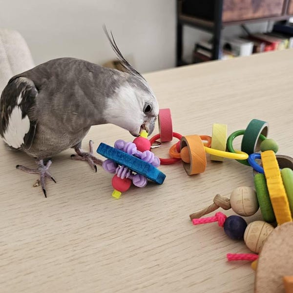 Humdinger - Small Bird Toy With Bell, for Parakeets, Cockatiels ...