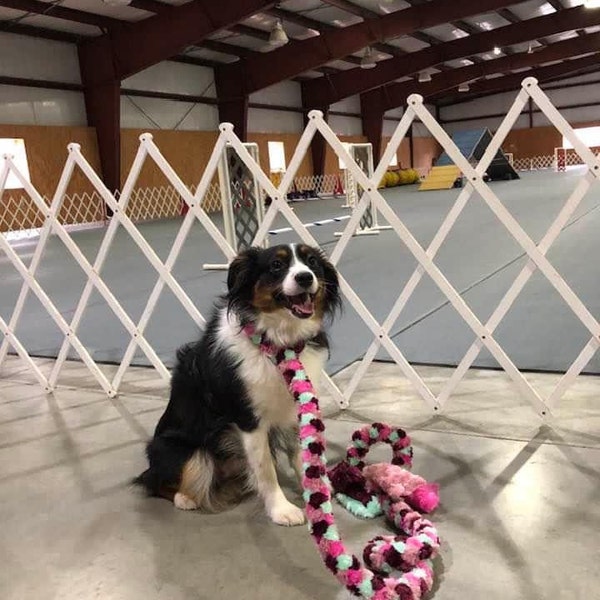 Custom Handmade Fleece and Minky Dog Leash - Etsy