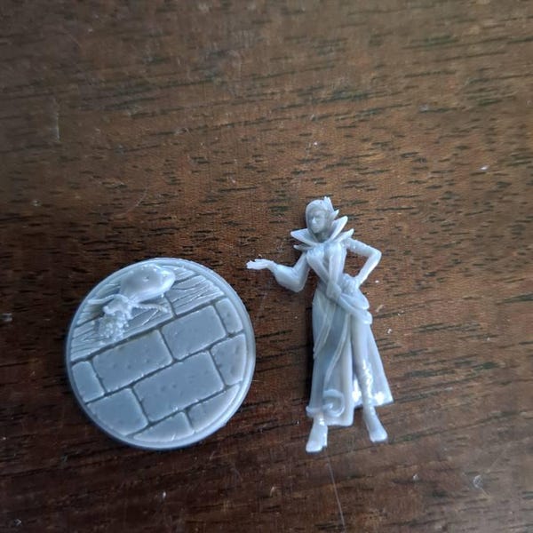Miniature | Female Juliana Rook - Dnd Miniature for Tabletop Games ...