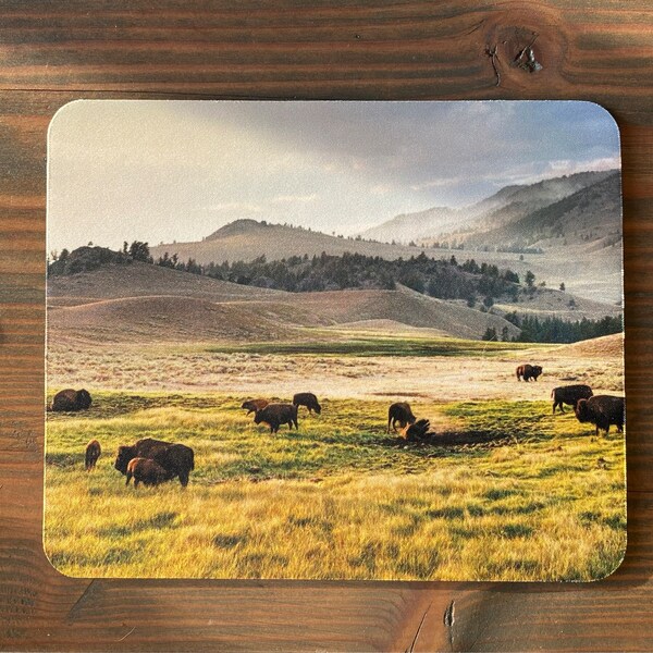 Sage Bison Tote Bag | Buffalo Tote Bag | Bison Gifts | Buffalo Gifts ...