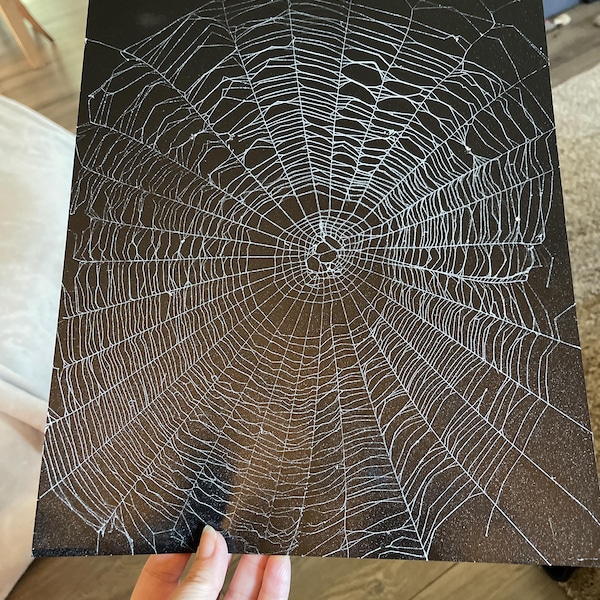 AUTHENTIC Orb Weaver Spider Web - Preserved Spider Web for Craft or ...