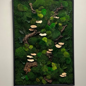 Large Rectangle Mirror Mirror Moss Wall Art Preserved Moss - Etsy