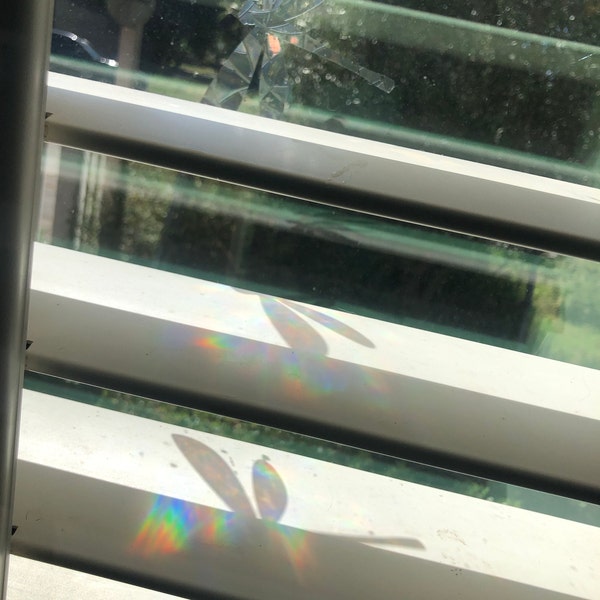 Bigfoot Prism Window Clingsset of 12prevent Bird Strikesstatic Cling No ...