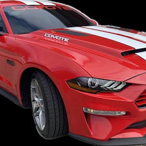 Mustang GT 2 Tone coyote Decklid Decal - Etsy