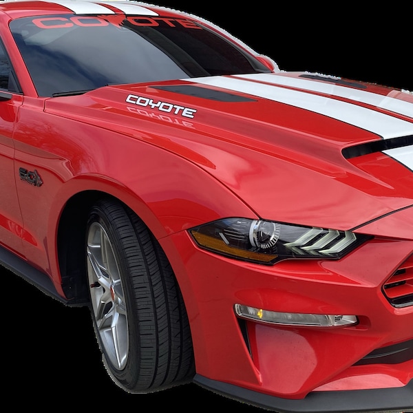 Mustang GT 2-tone Coyote Decal (pair) - Etsy