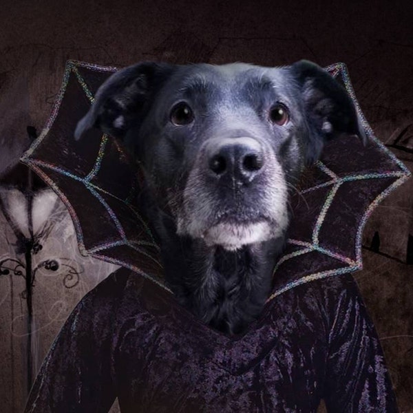 Custom Scary Pet Portrait . Custom Horror Pet Portrait . Halloween ...